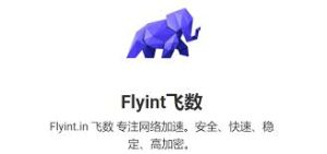 flyint飞数官网 | 不跑路的pro优惠码订阅加速器
